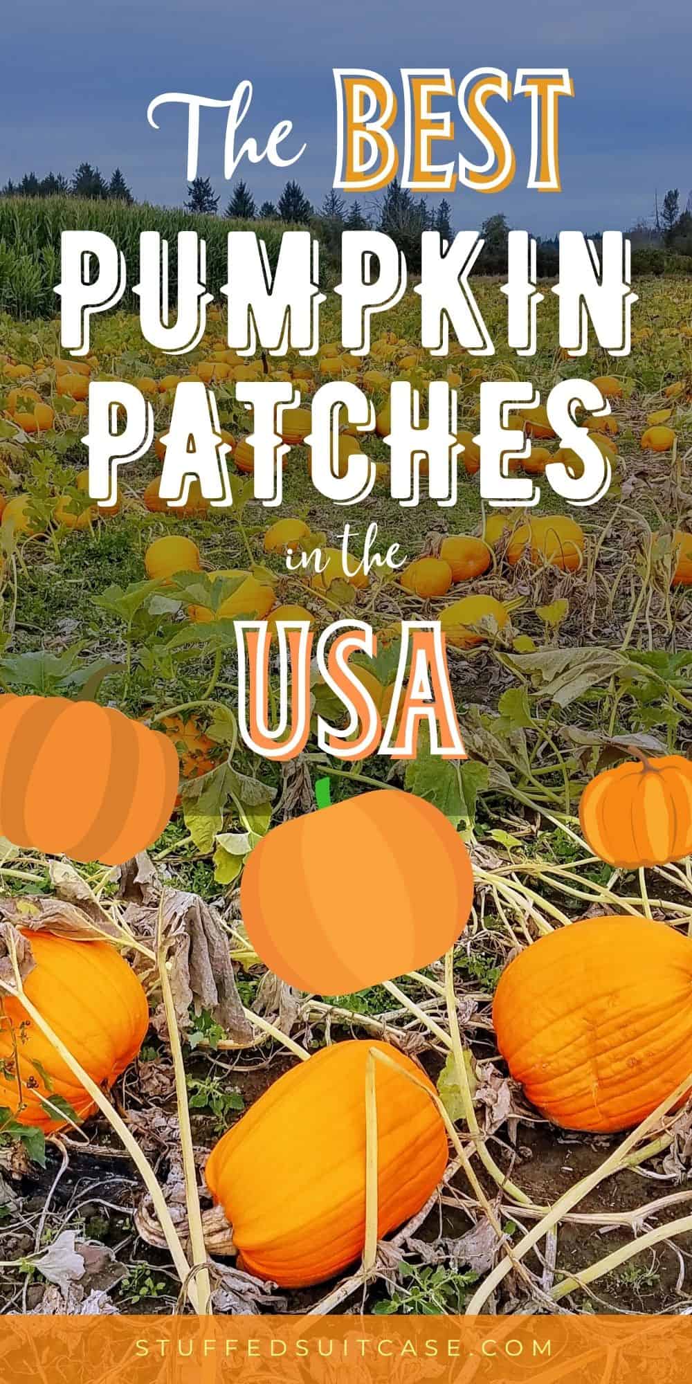 21 Best Pumpkin Patches in the USA (2025)